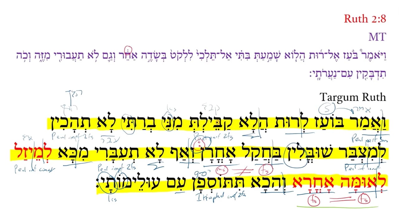 TR Ruth 2:8b - Daily Dose of Aramaic