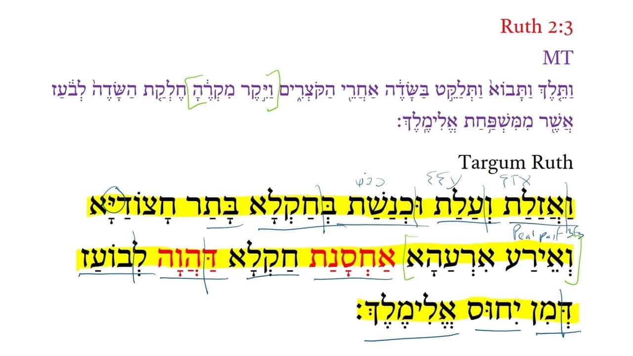 TR Ruth 2:3 - Daily Dose of Aramaic