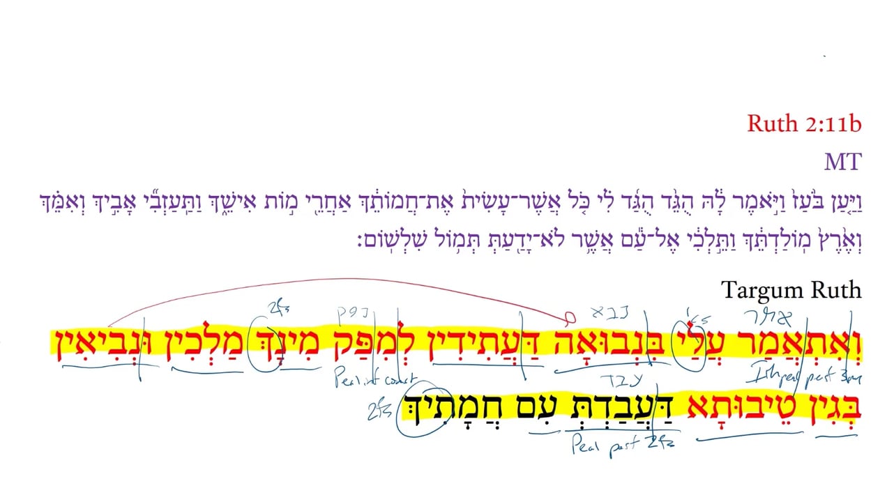TR Ruth 2:11b - Daily Dose of Aramaic