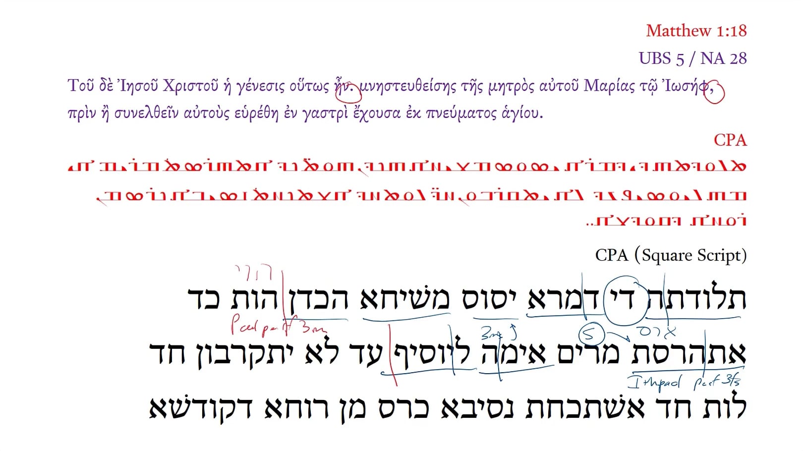 CPA Matthew 1:18b - Daily Dose of Aramaic