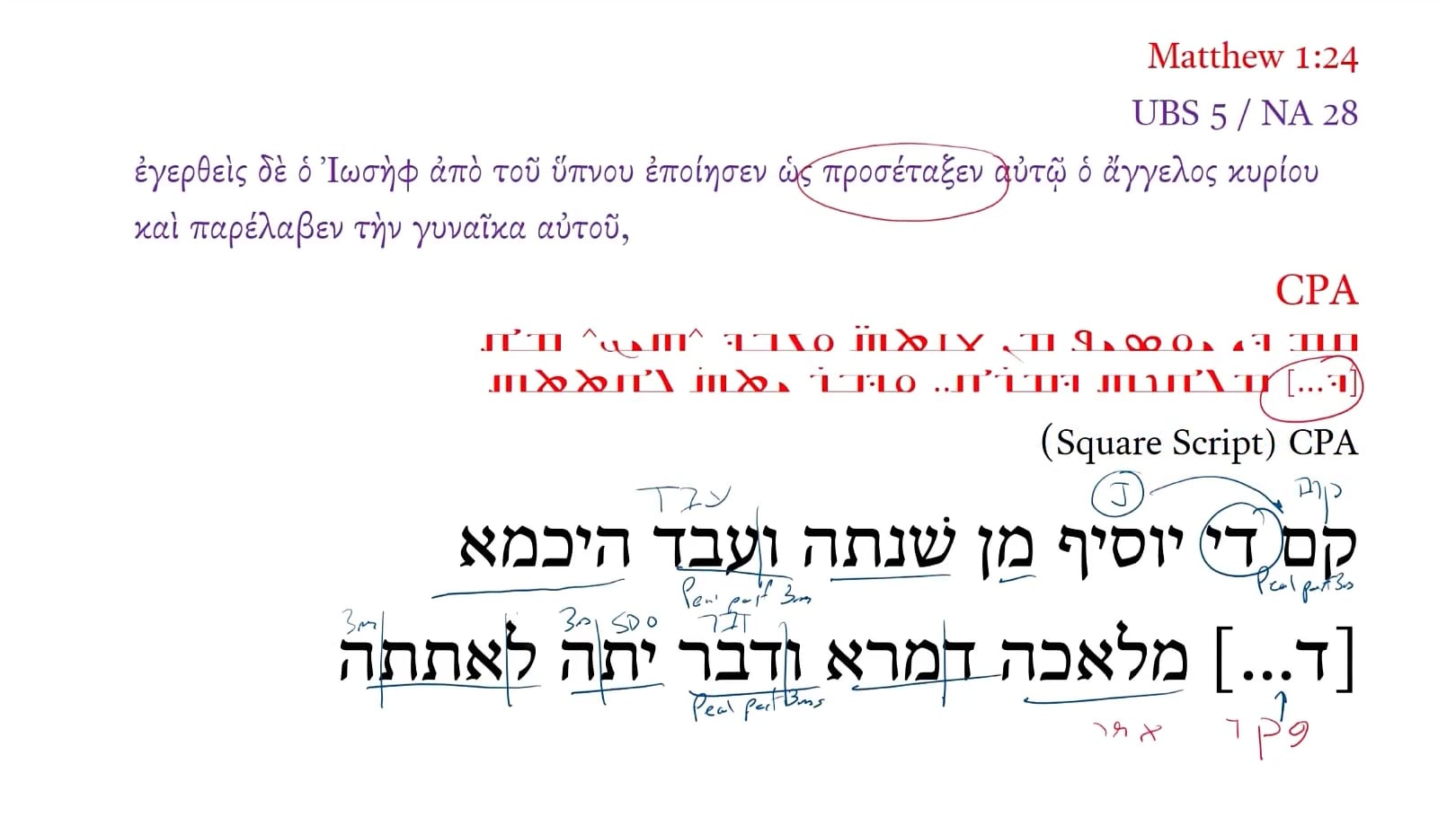 CPA Matthew 1:24b - Daily Dose of Aramaic