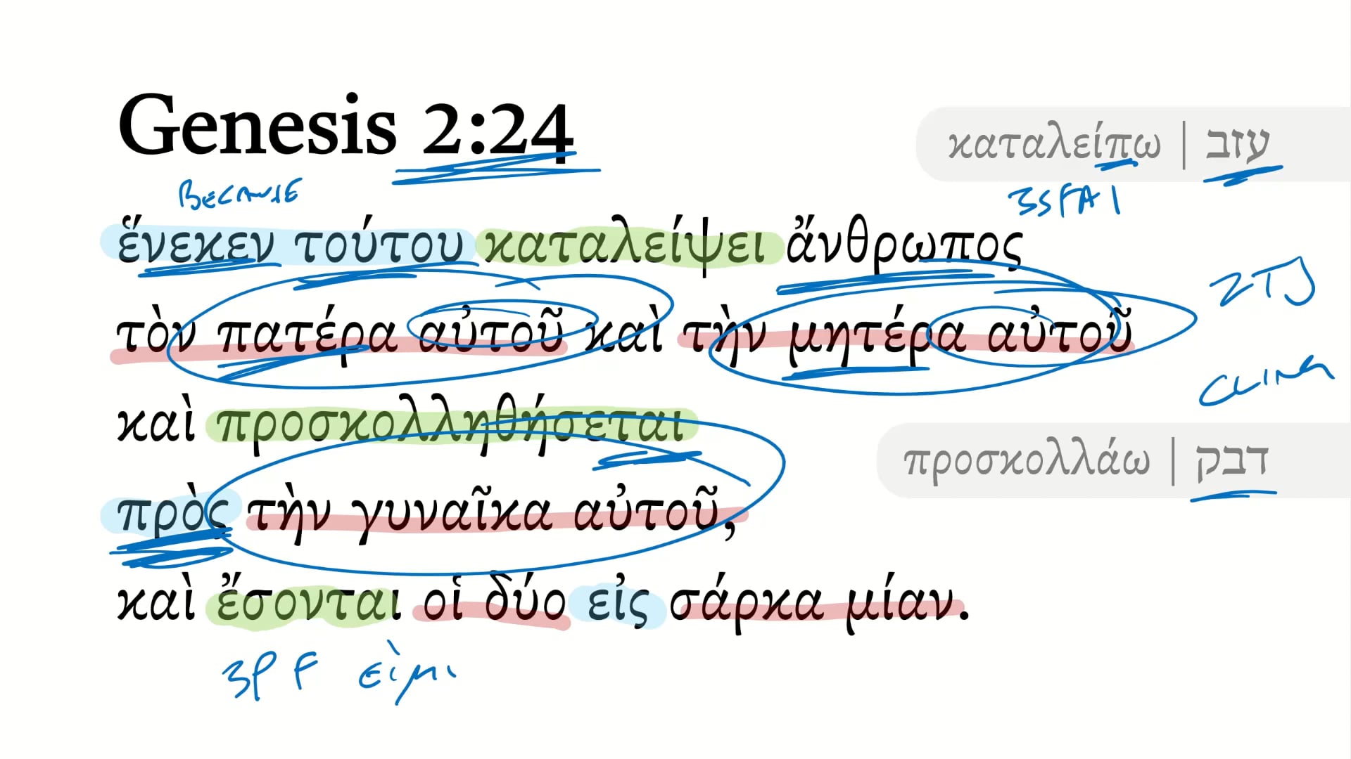 Genesis 2:24 | Daily Dose of Septuagint