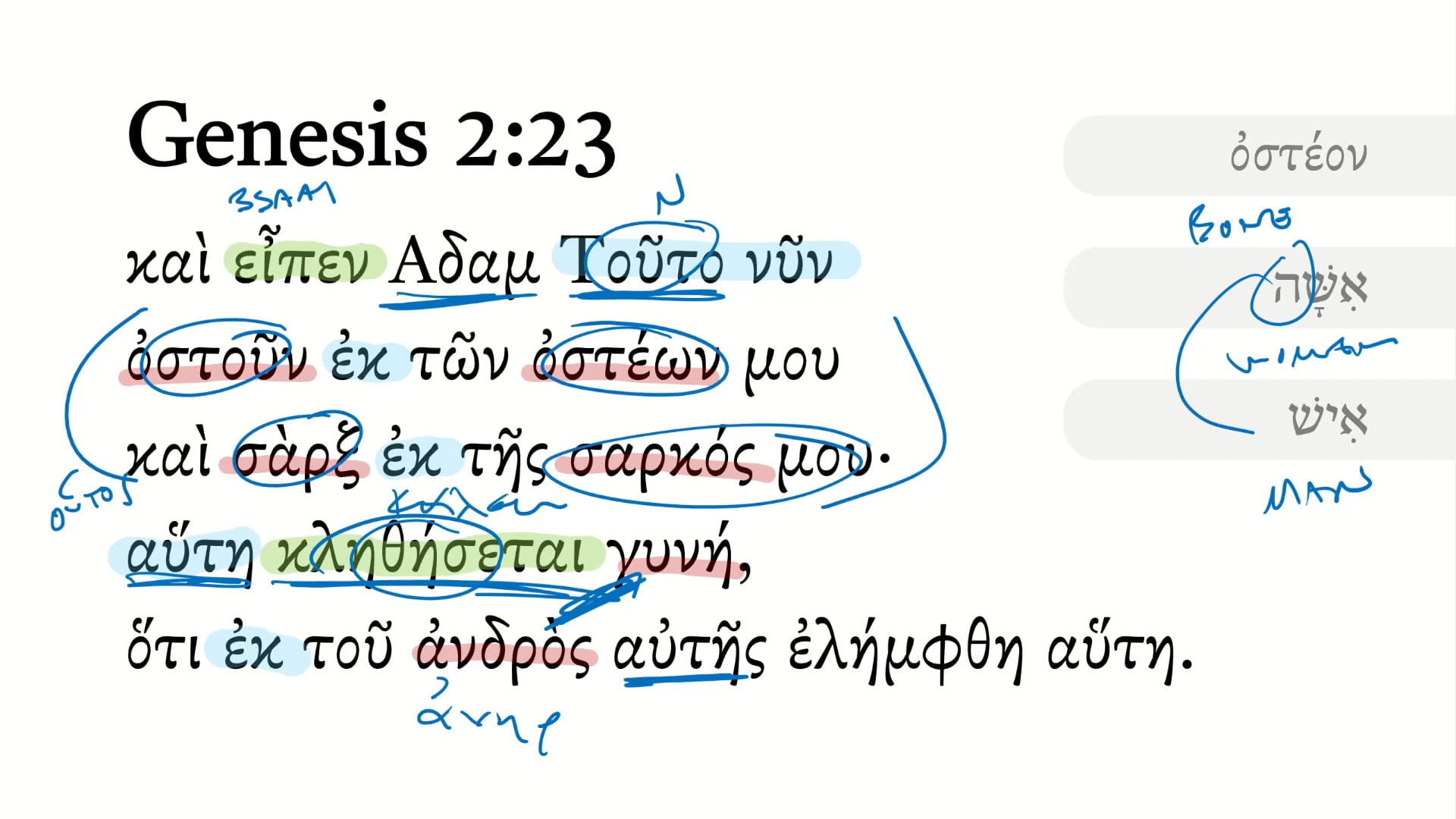 Genesis 2:23 | Daily Dose of Septuagint