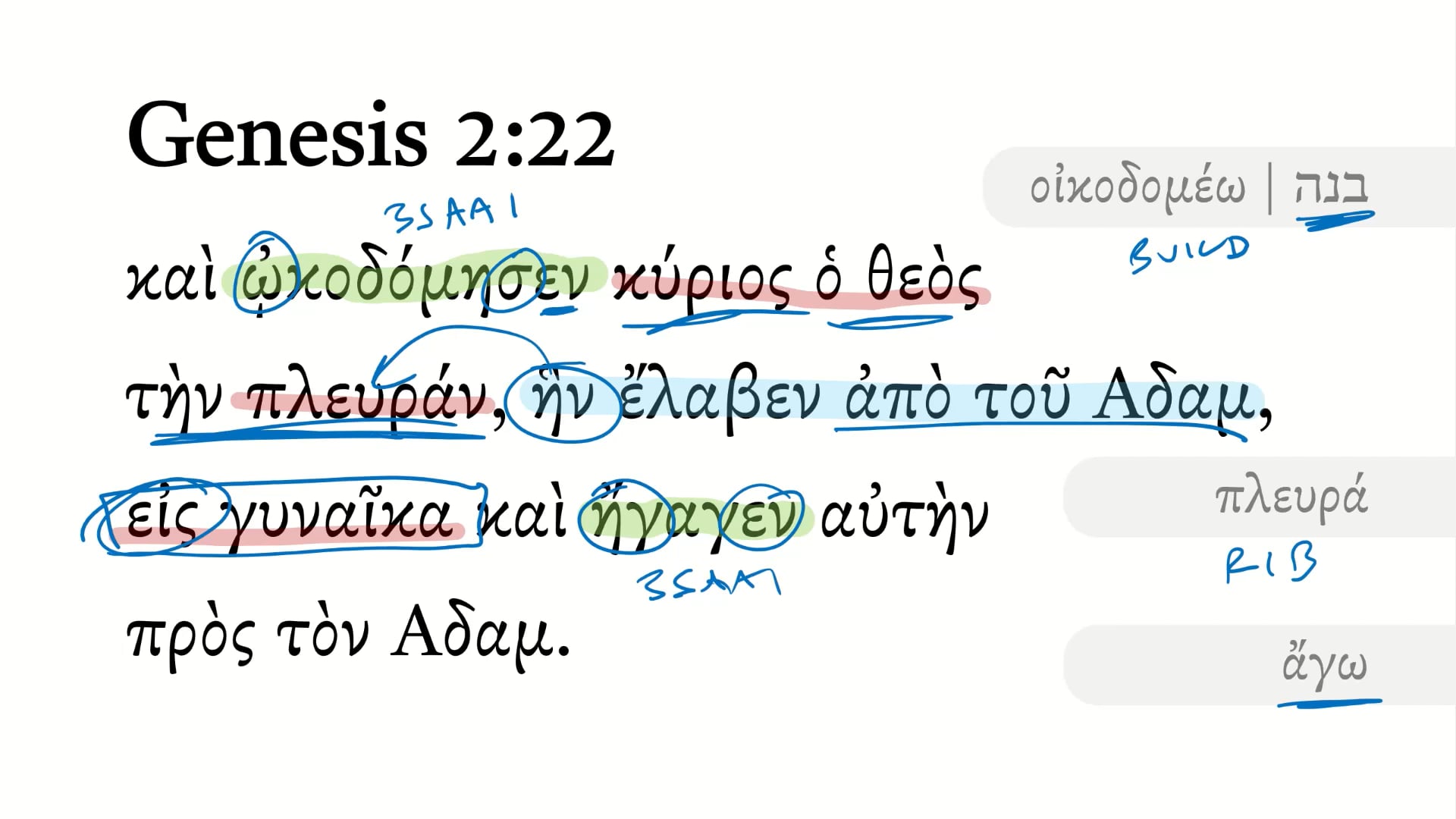 Genesis 2:22 | Daily Dose of Septuagint