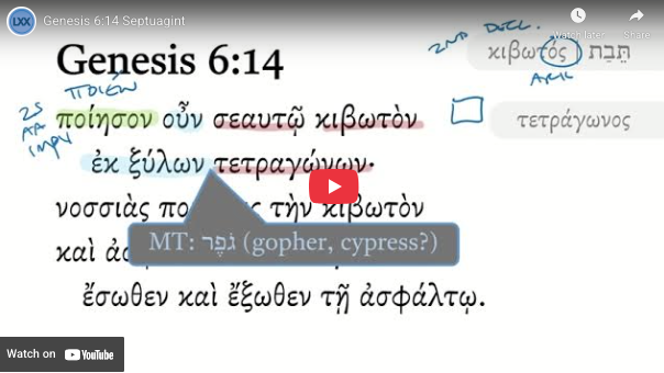 Genesis 6:14 Septuagint | Daily Dose of Septuagint