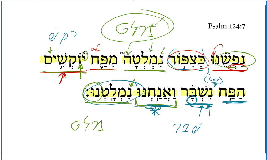 Psalm 124:7 | Daily Dose of Hebrew