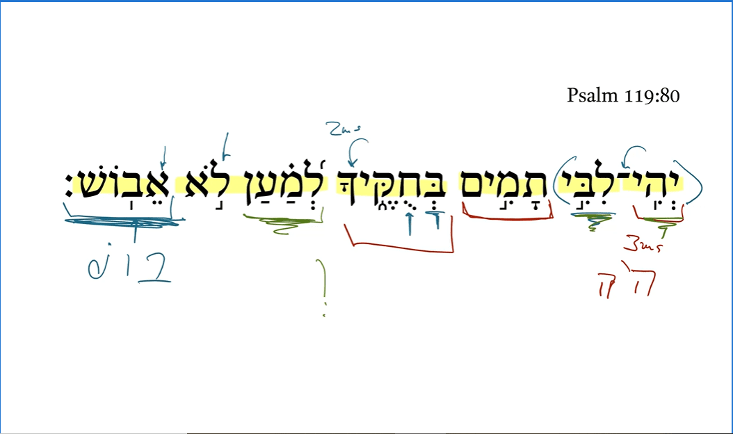 Psalm 119:80 | Daily Dose of Hebrew