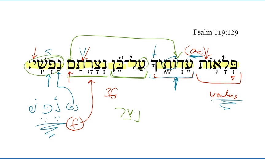 Psalm 119:129 | Daily Dose of Hebrew