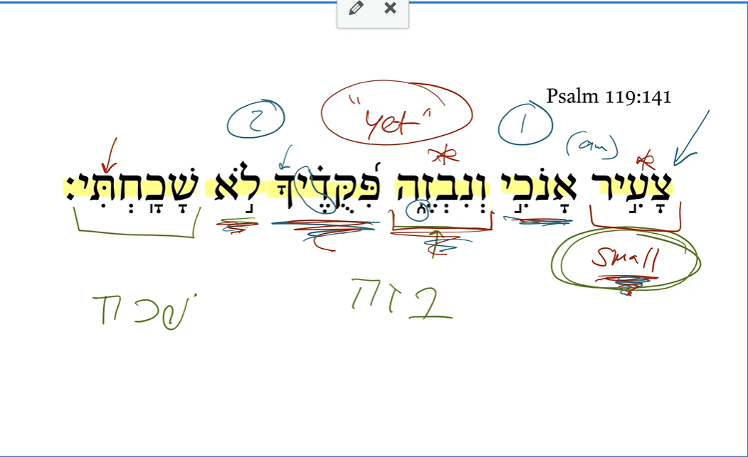 Psalm 119:141 | Daily Dose of Hebrew