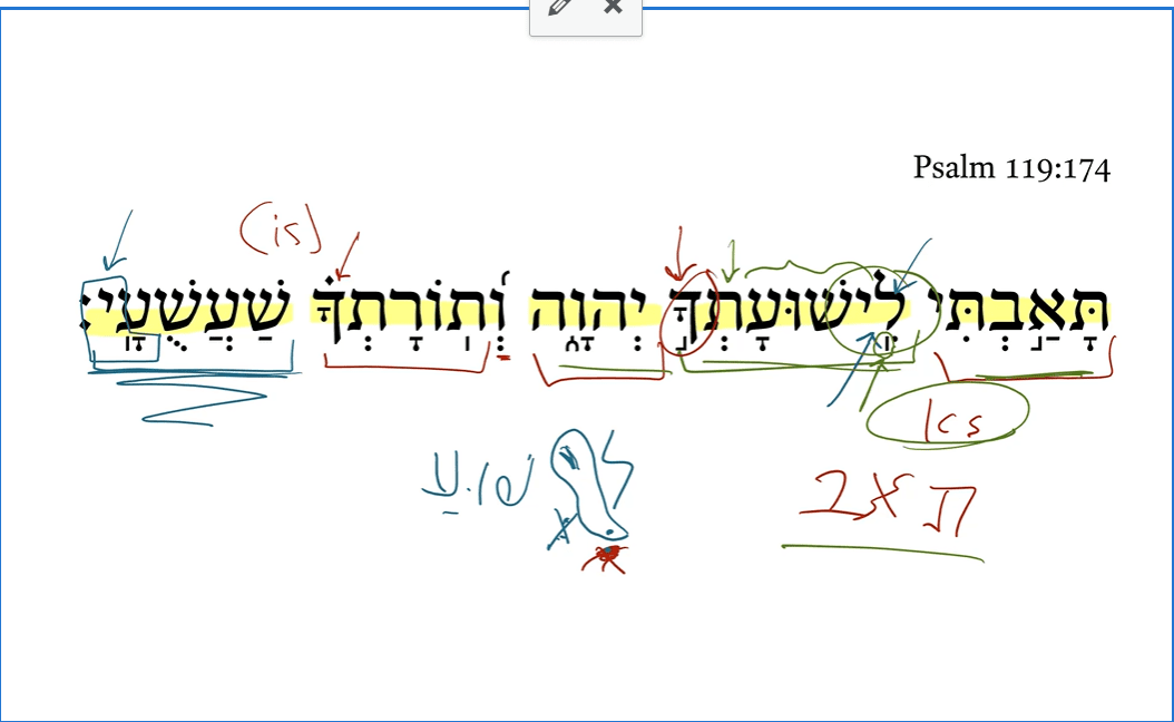 Psalm 119 174 Daily Dose Of Hebrew