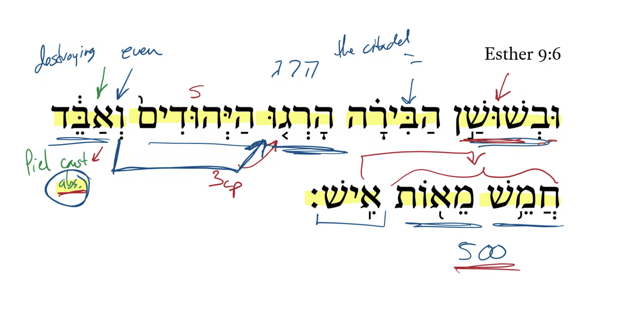 Esther 9:6 | Daily Dose of Hebrew