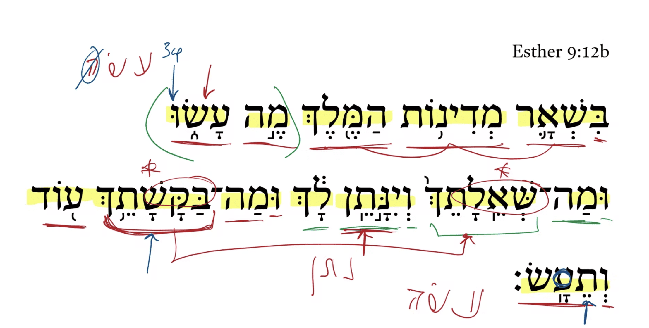 Esther 9:12b | Daily Dose of Hebrew