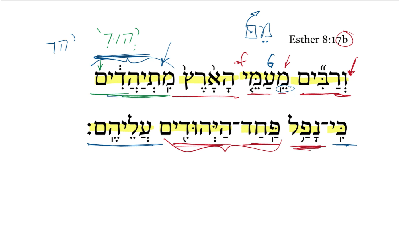 Esther 8:17b | Daily Dose of Hebrew
