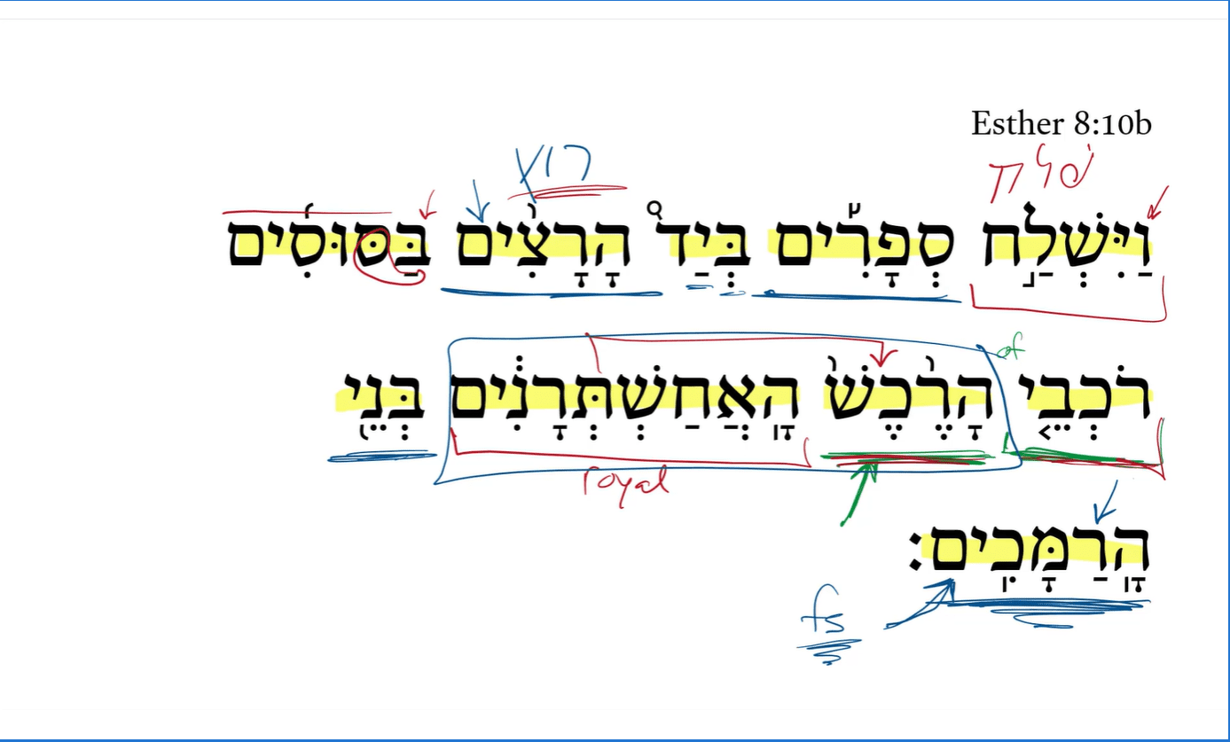 Esther 8:10b | Daily Dose of Hebrew