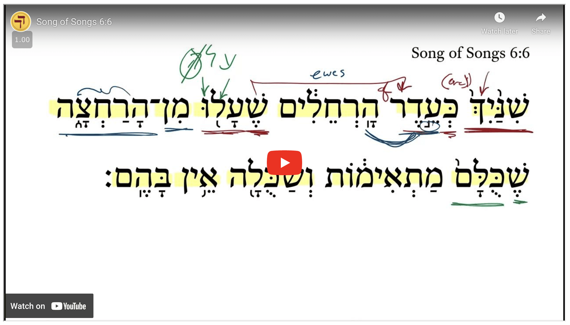 Song of Songs 6:6 | Daily Dose of Hebrew