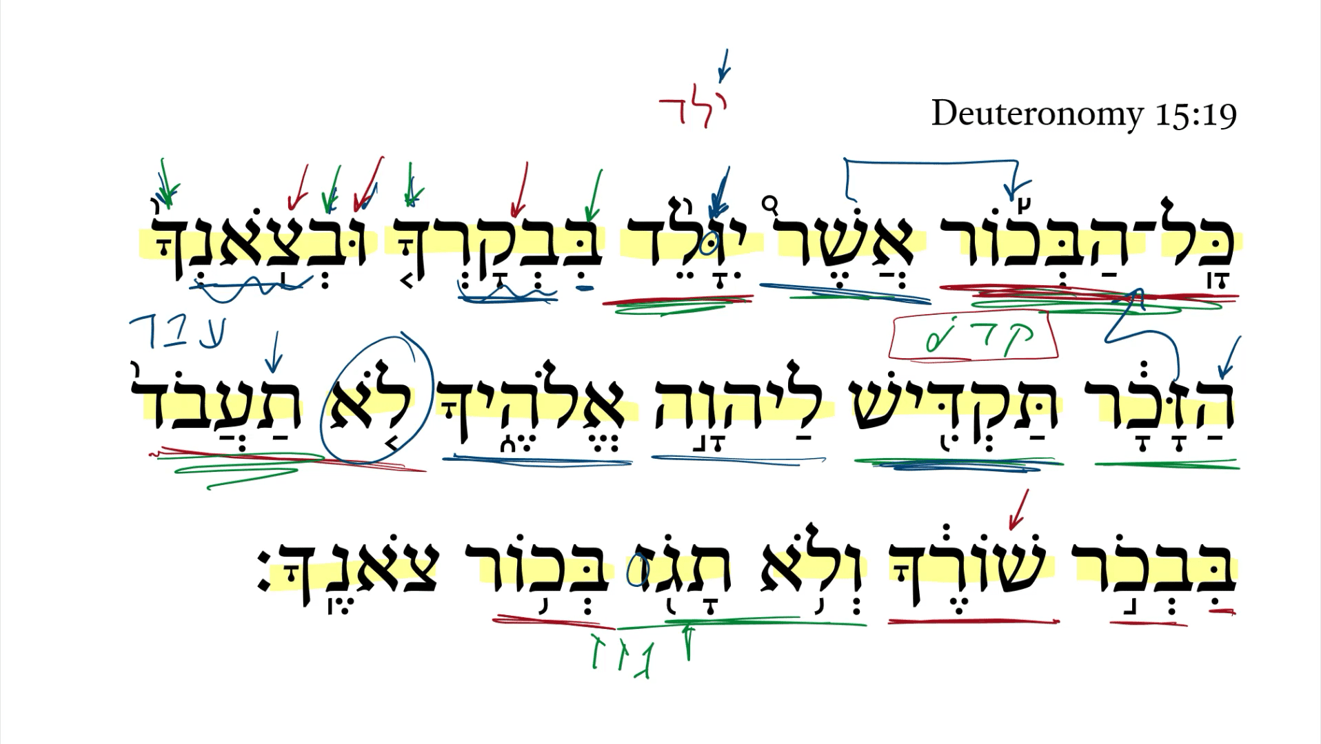 Deuteronomy 15:19 | Daily Dose of Hebrew