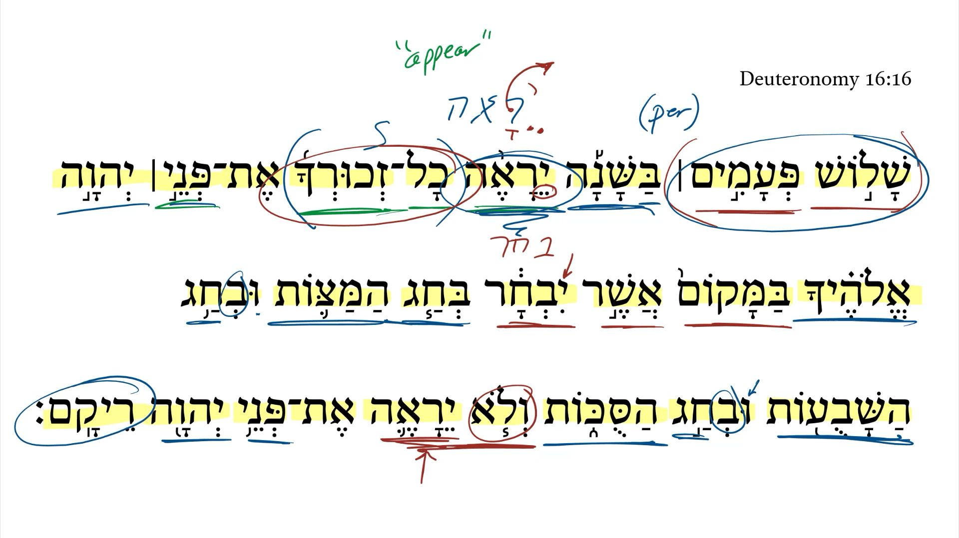 Deuteronomy 16:16 | Daily Dose of Hebrew
