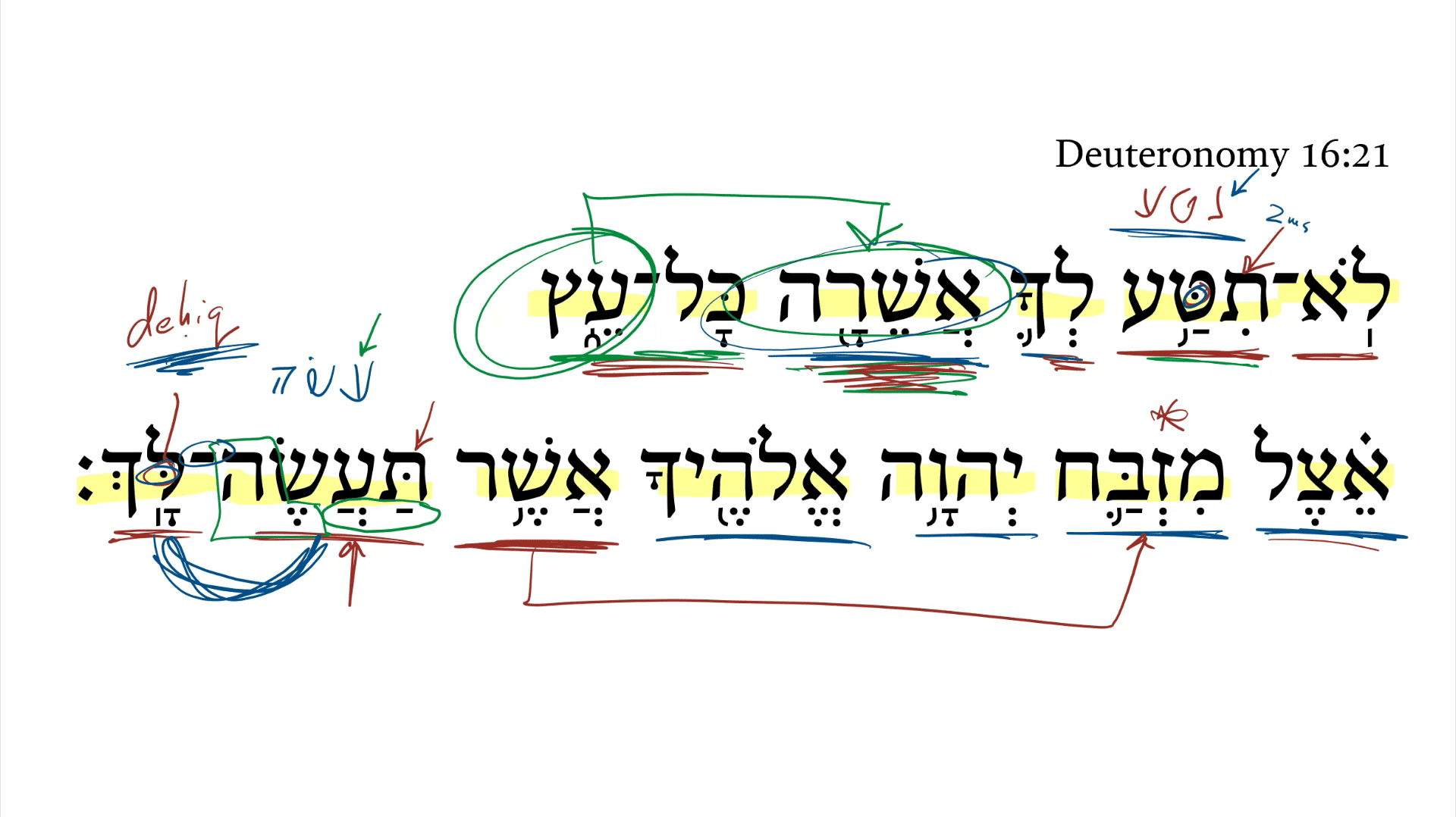 Deuteronomy 16:21 | Daily Dose of Hebrew