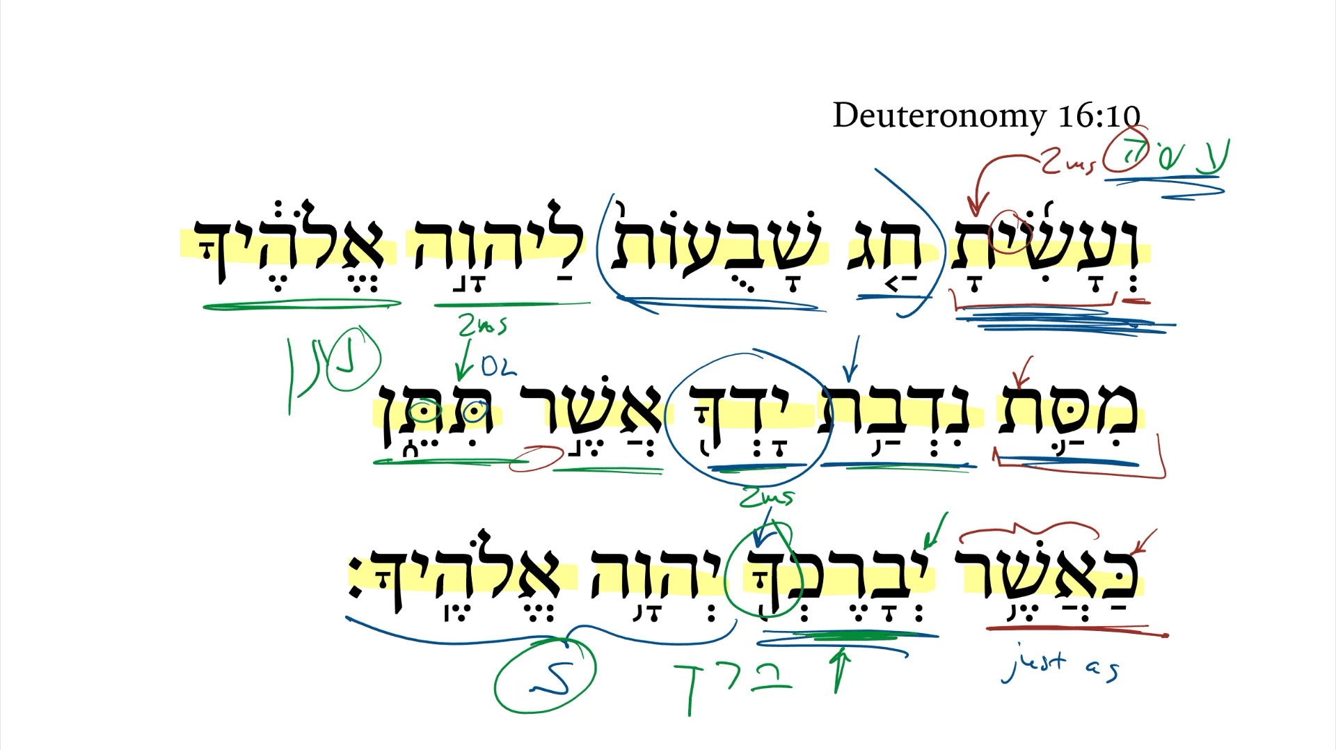 Deuteronomy 16:10 | Daily Dose of Hebrew