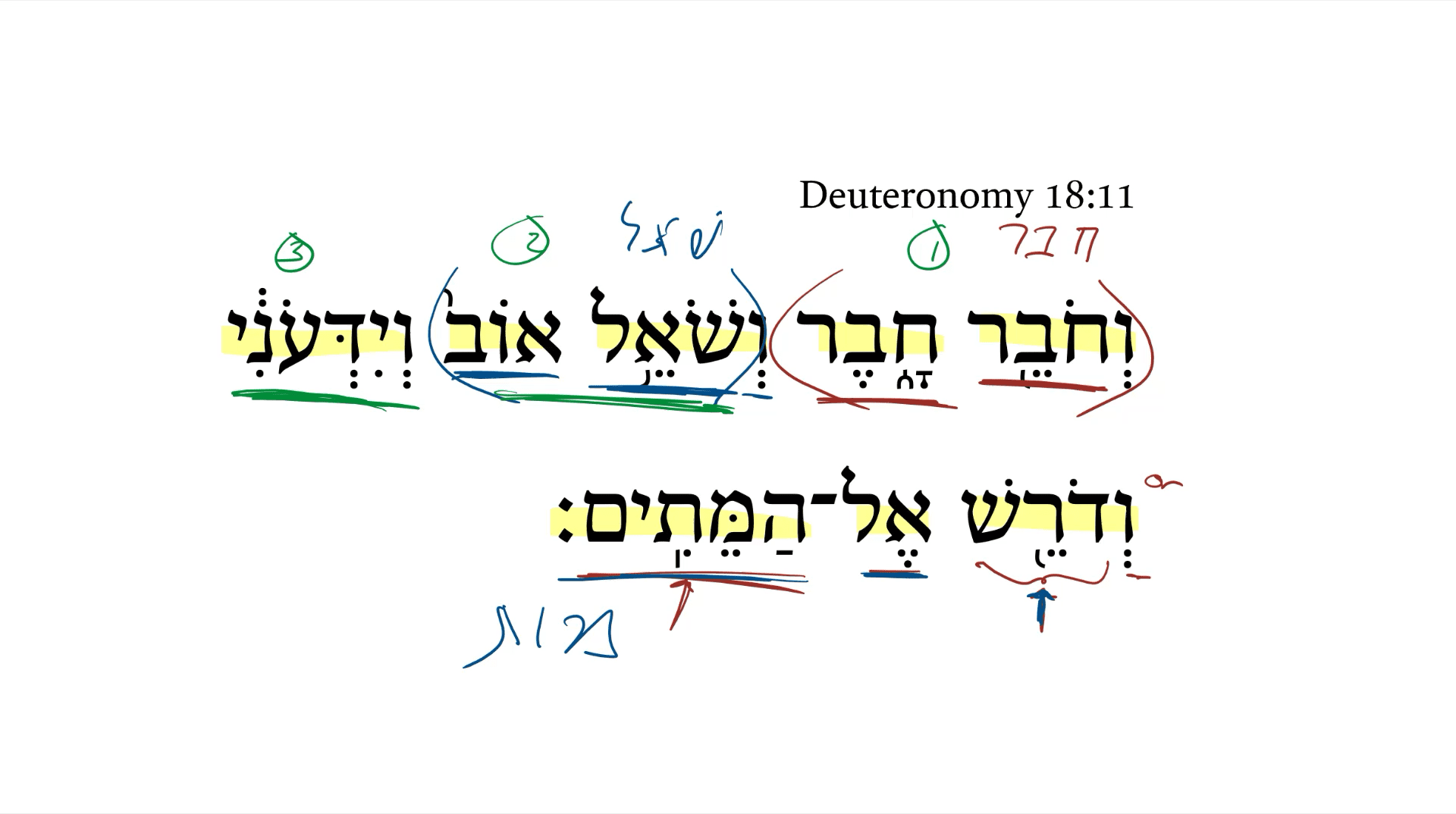 Deuteronomy 18:11 | Daily Dose of Hebrew