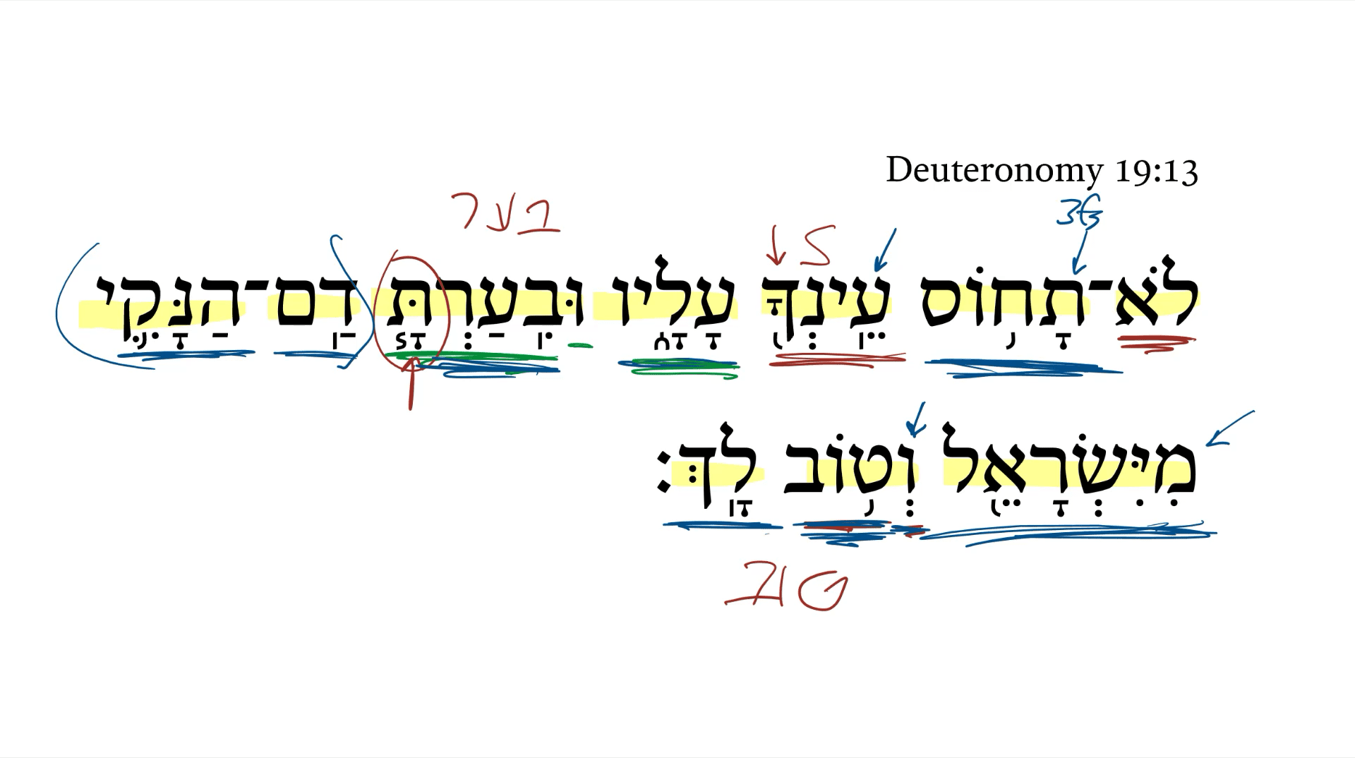Deuteronomy 19:13 | Daily Dose of Hebrew