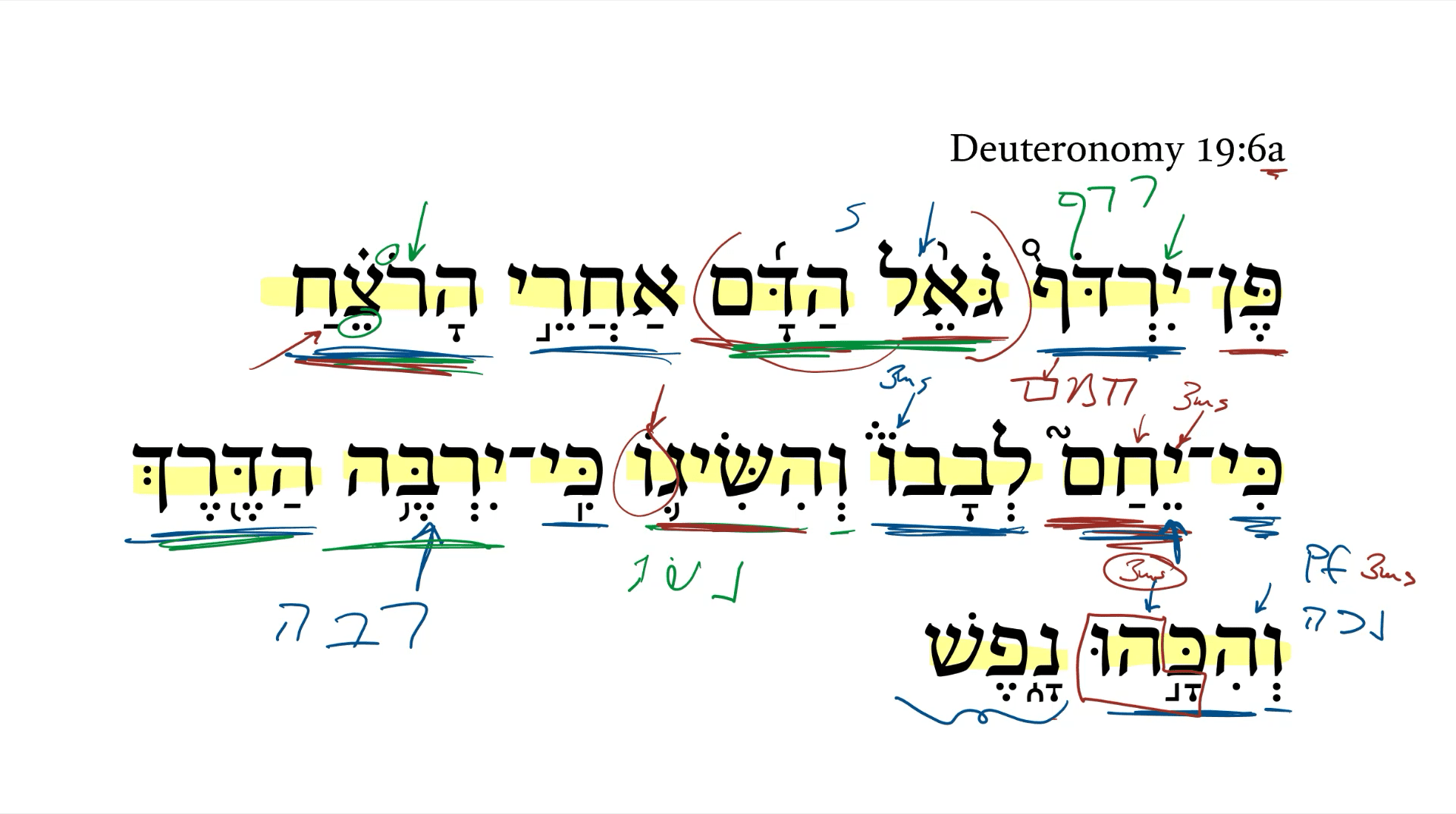 Deuteronomy 19:6a | Daily Dose of Hebrew