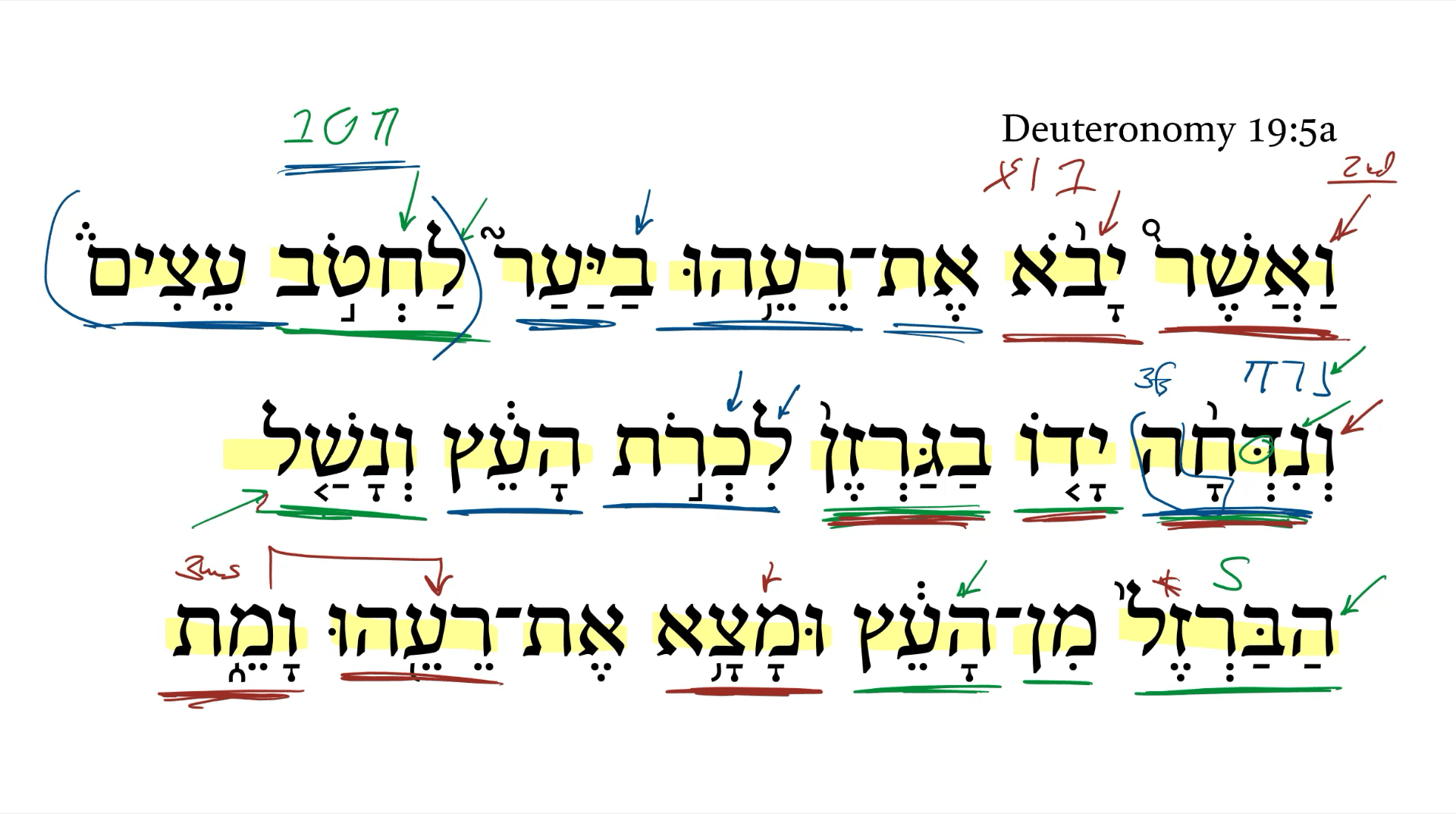 Deuteronomy 19:5a | Daily Dose of Hebrew