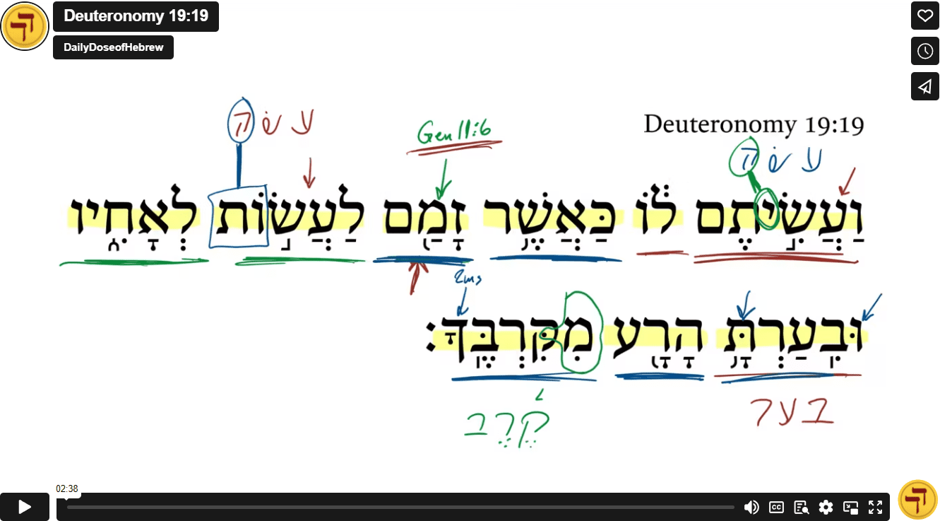 Deuteronomy 19:19 | Daily Dose of Hebrew
