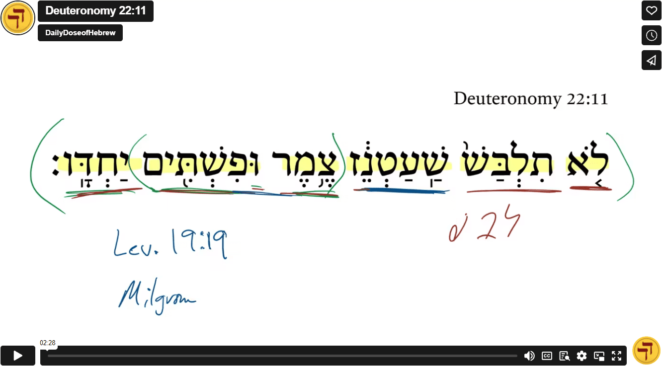 Deuteronomy 22:11 | Daily Dose of Hebrew