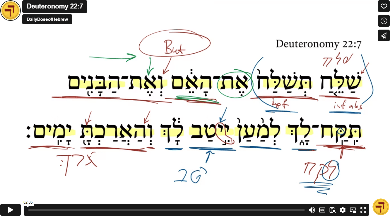 Deuteronomy 22:7 | Daily Dose of Hebrew
