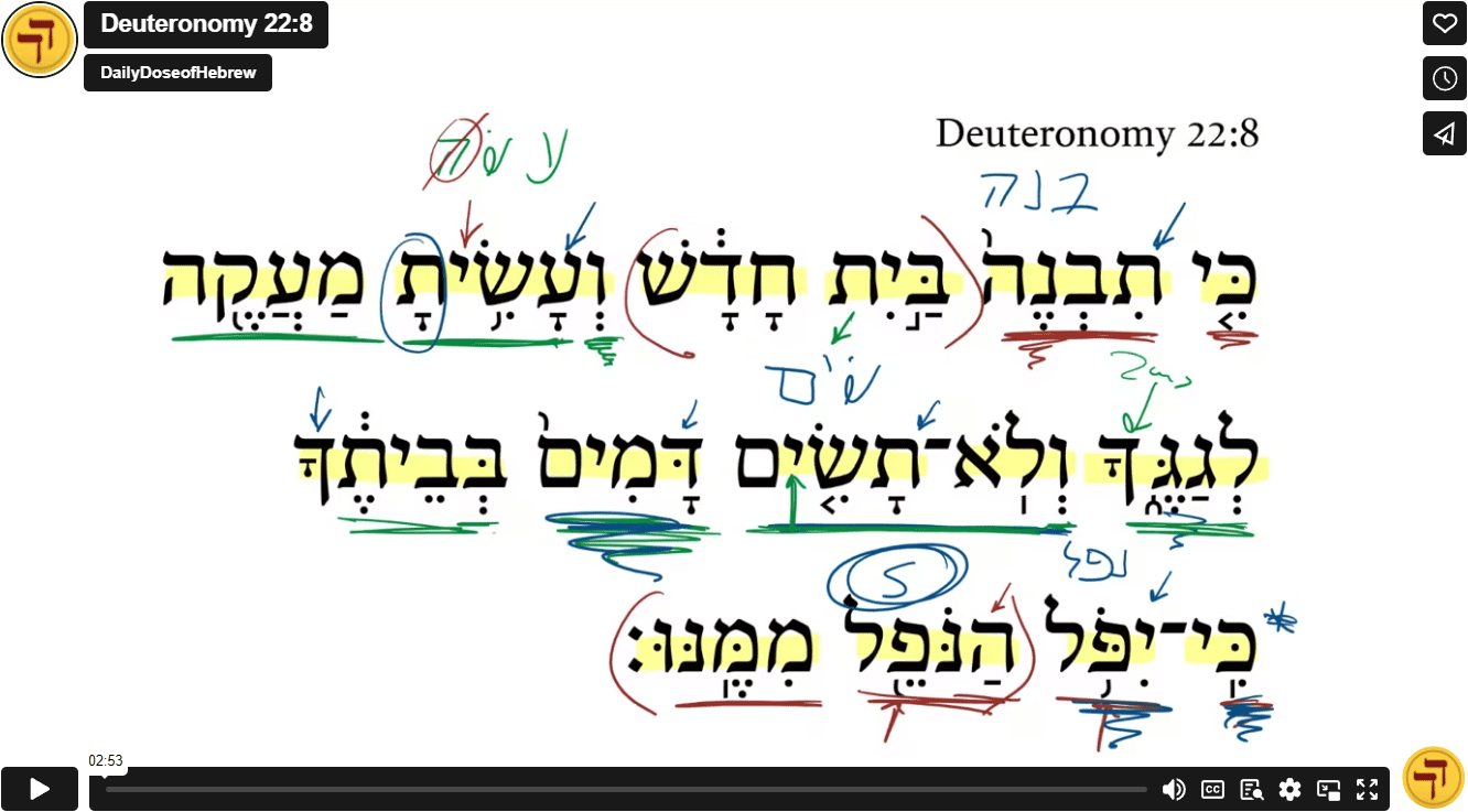 Deuteronomy 22:8 | Daily Dose of Hebrew