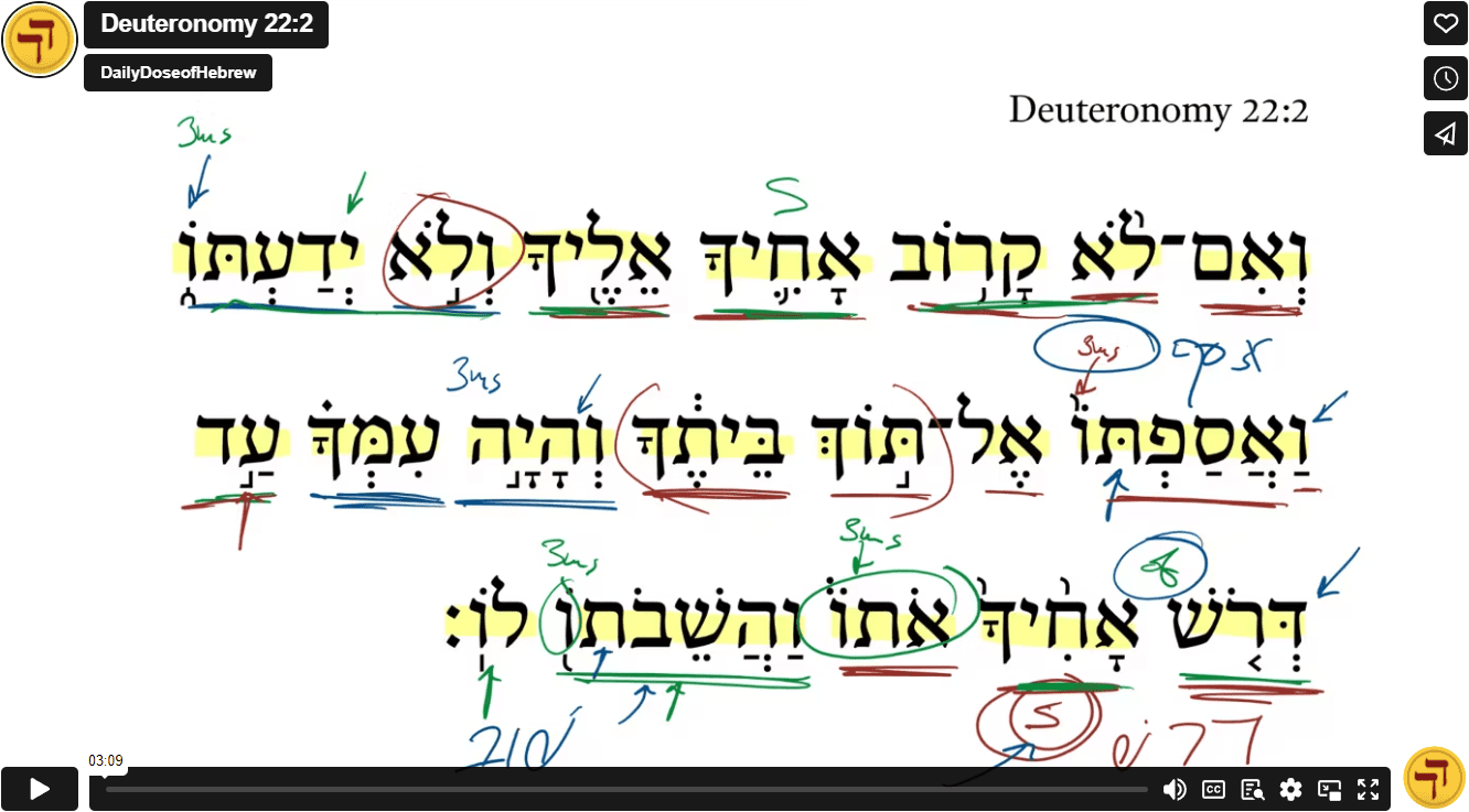 Deuteronomy 22:2 | Daily Dose of Hebrew