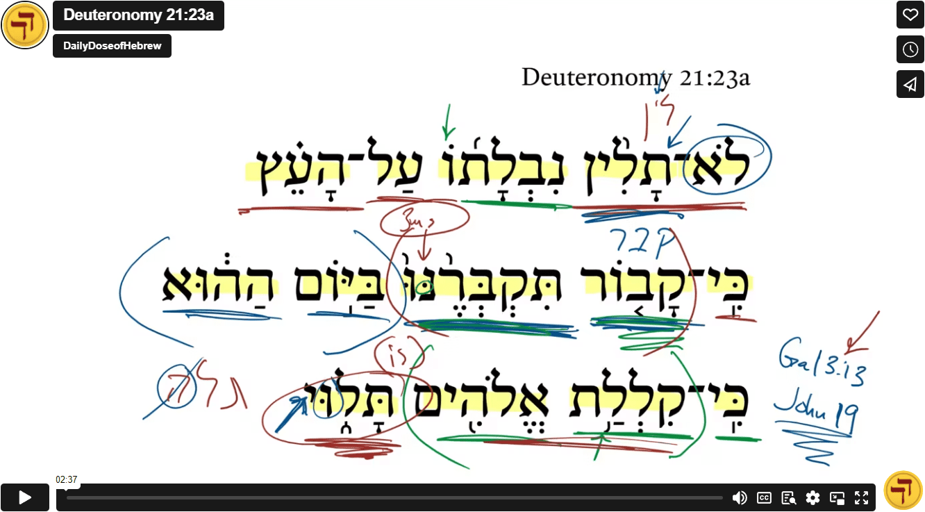 Deuteronomy 21:23a | Daily Dose of Hebrew