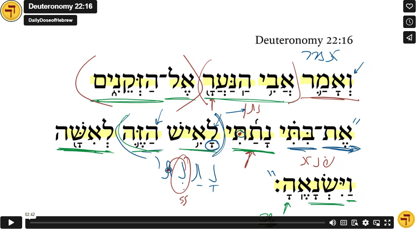 Deuteronomy 22:16 | Daily Dose of Hebrew