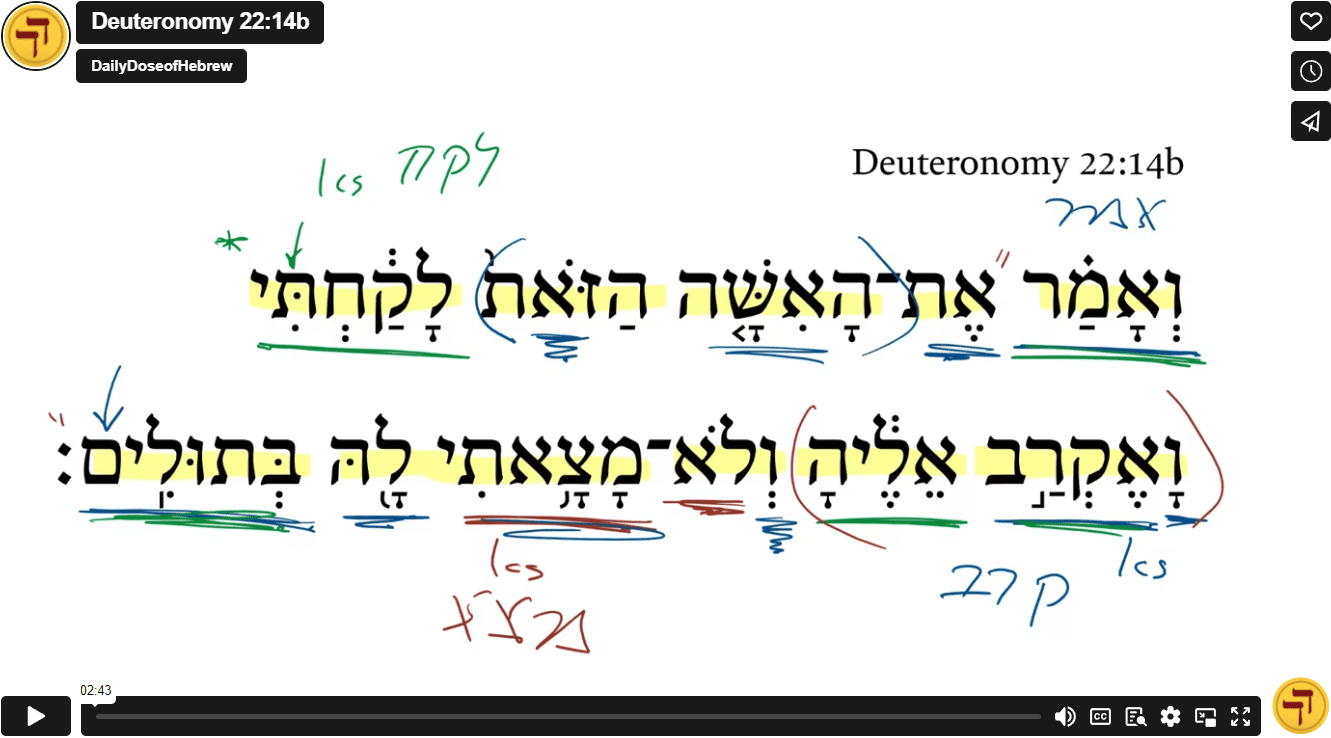 Deuteronomy 22:14b | Daily Dose of Hebrew