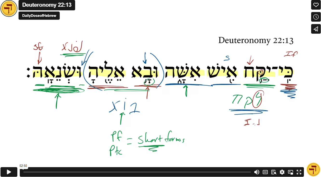 Deuteronomy 22:13 | Daily Dose of Hebrew