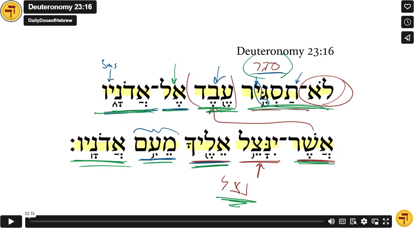 Deuteronomy 23:16 | Daily Dose of Hebrew