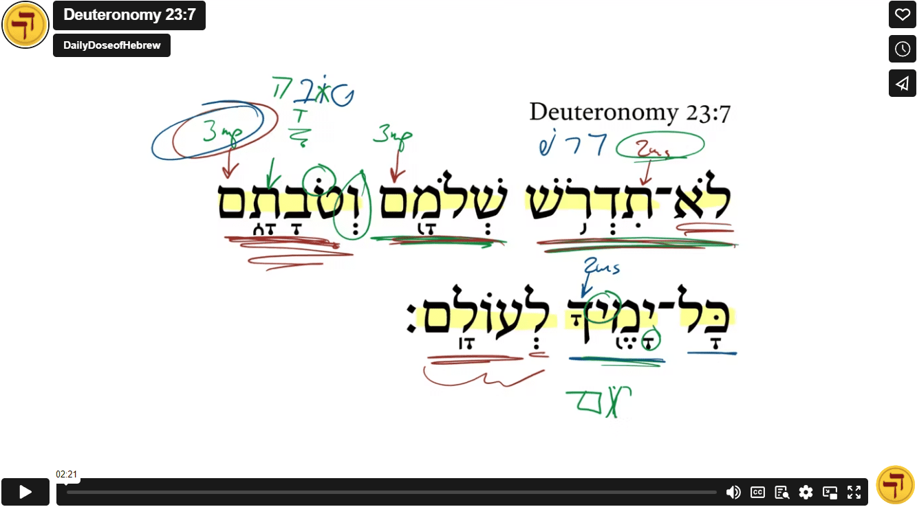 Deuteronomy 23:7 | Daily Dose of Hebrew