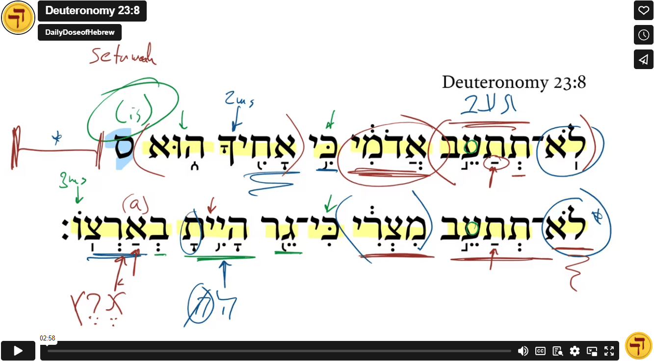 Deuteronomy 23:8 | Daily Dose of Hebrew