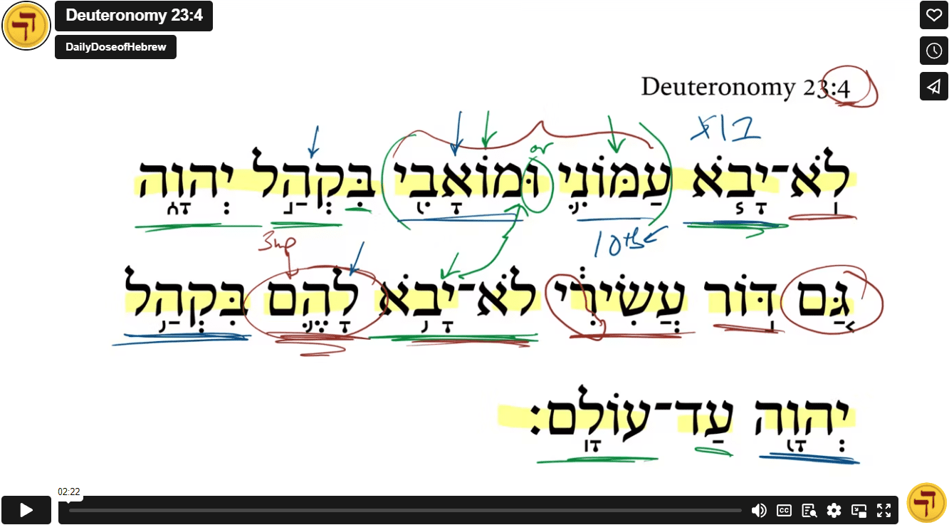 Deuteronomy 23:4 | Daily Dose of Hebrew
