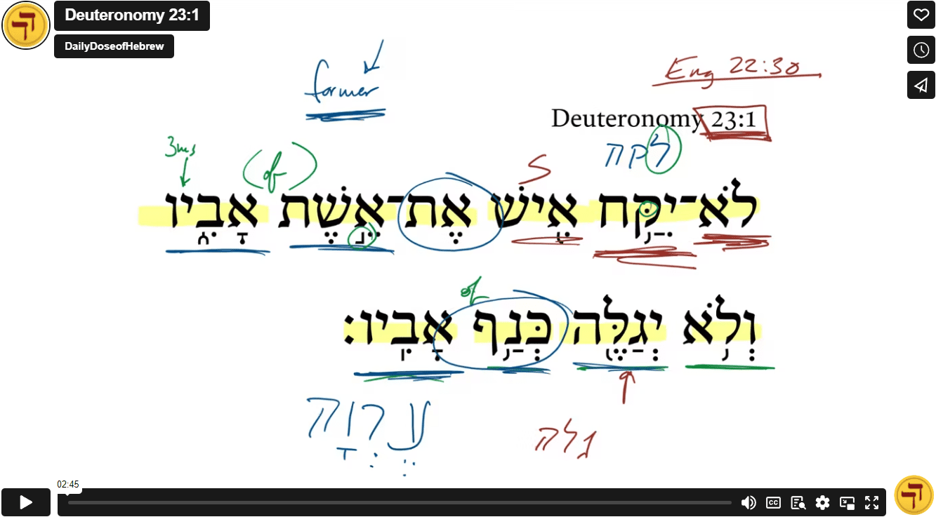 Deuteronomy 23:1 | Daily Dose of Hebrew
