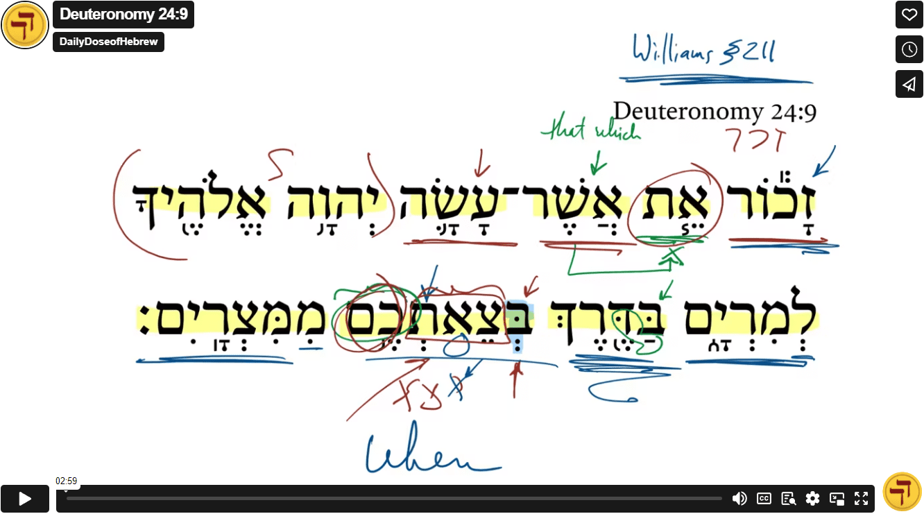 Deuteronomy 24:9 | Daily Dose of Hebrew