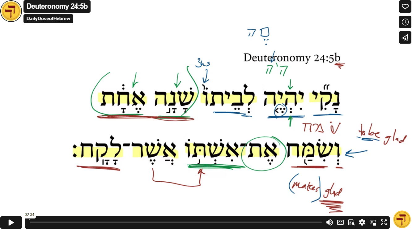 Deuteronomy 24:5b | Daily Dose of Hebrew