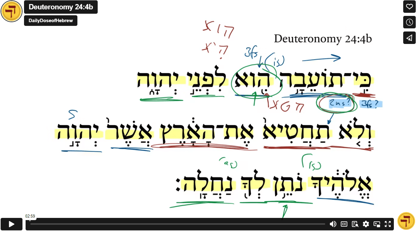Deuteronomy 24:4b | Daily Dose of Hebrew