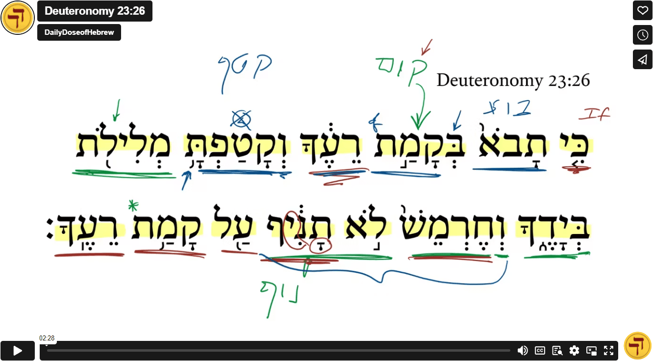 Deuteronomy 23:26 | Daily Dose of Hebrew