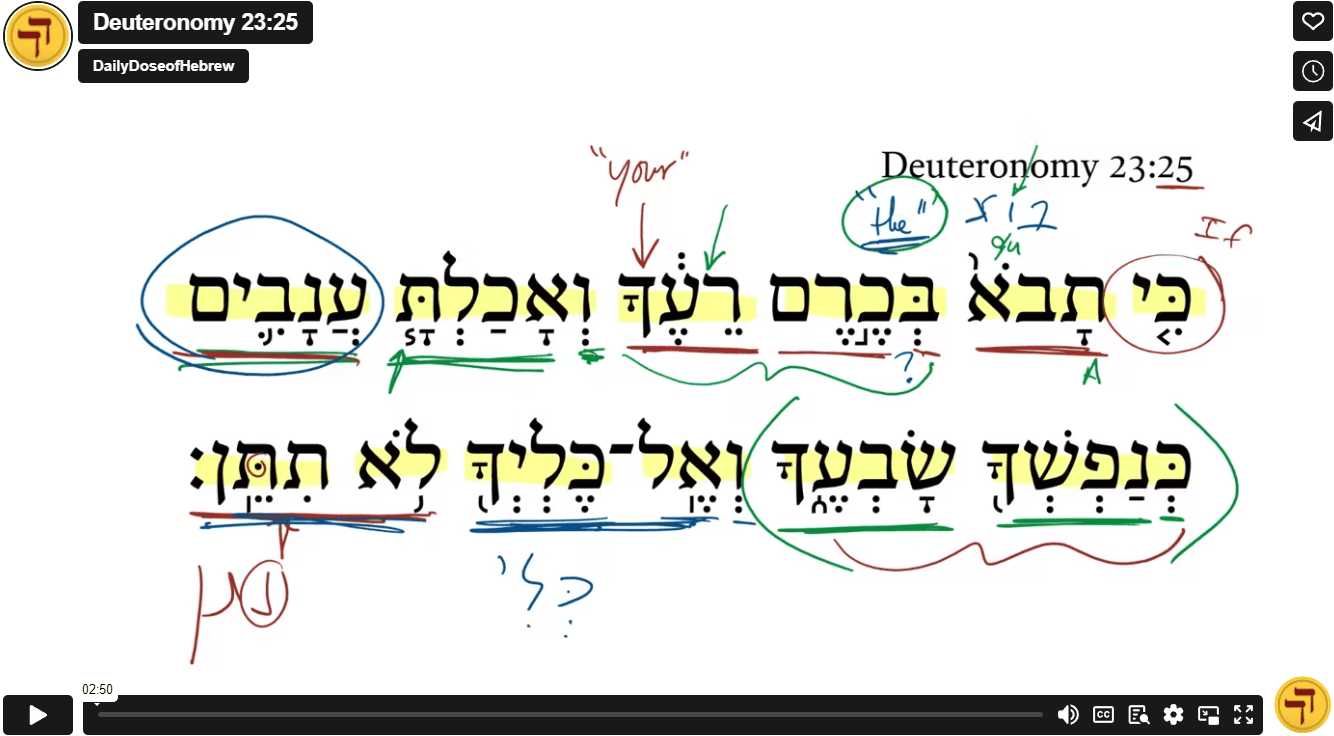 Deuteronomy 23:25 | Daily Dose of Hebrew