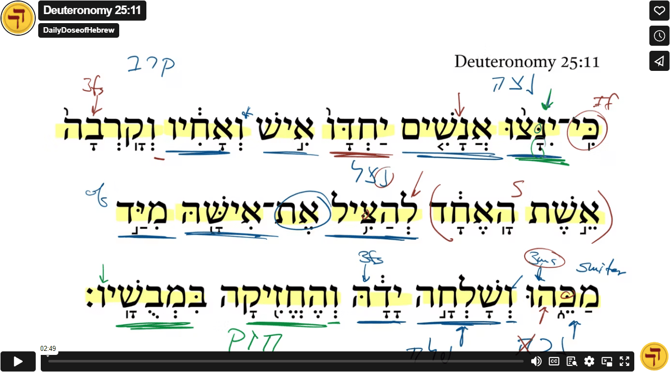 Deuteronomy 25:11 | Daily Dose of Hebrew