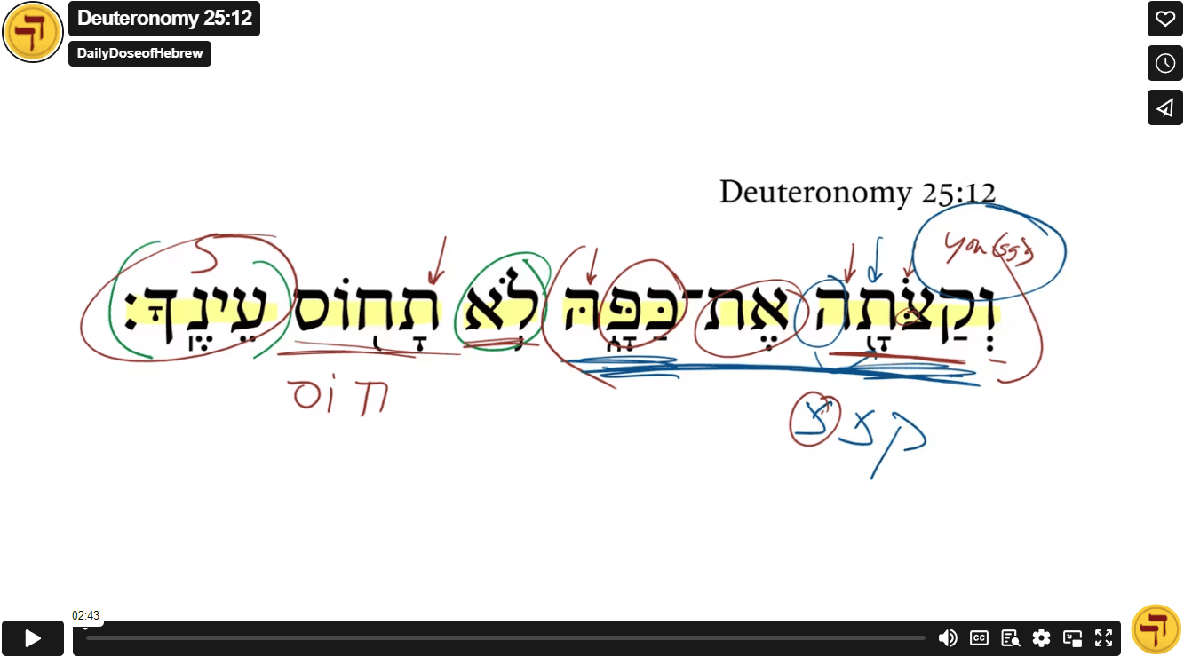 Deuteronomy 25:12 | Daily Dose of Hebrew
