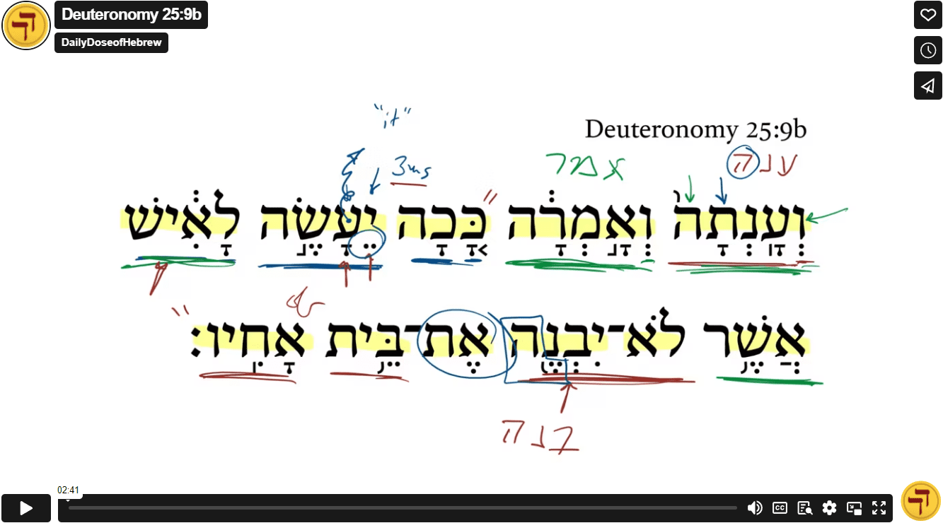 Deuteronomy 25:9b | Daily Dose of Hebrew
