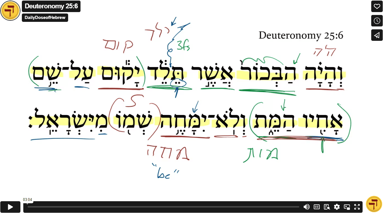 Deuteronomy 25:6 | Daily Dose of Hebrew